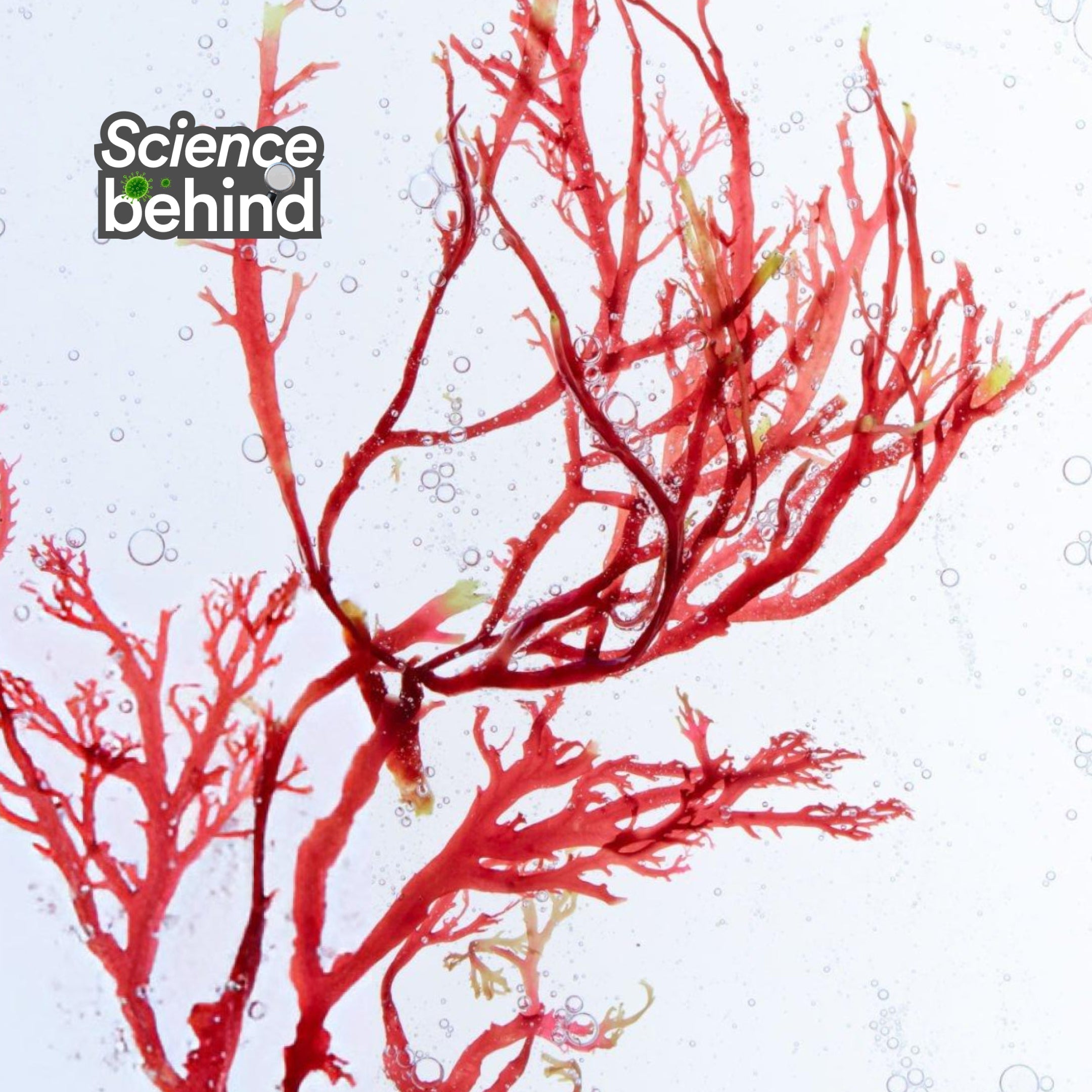 The Science Behind Astaxanthin | Origins Nutra