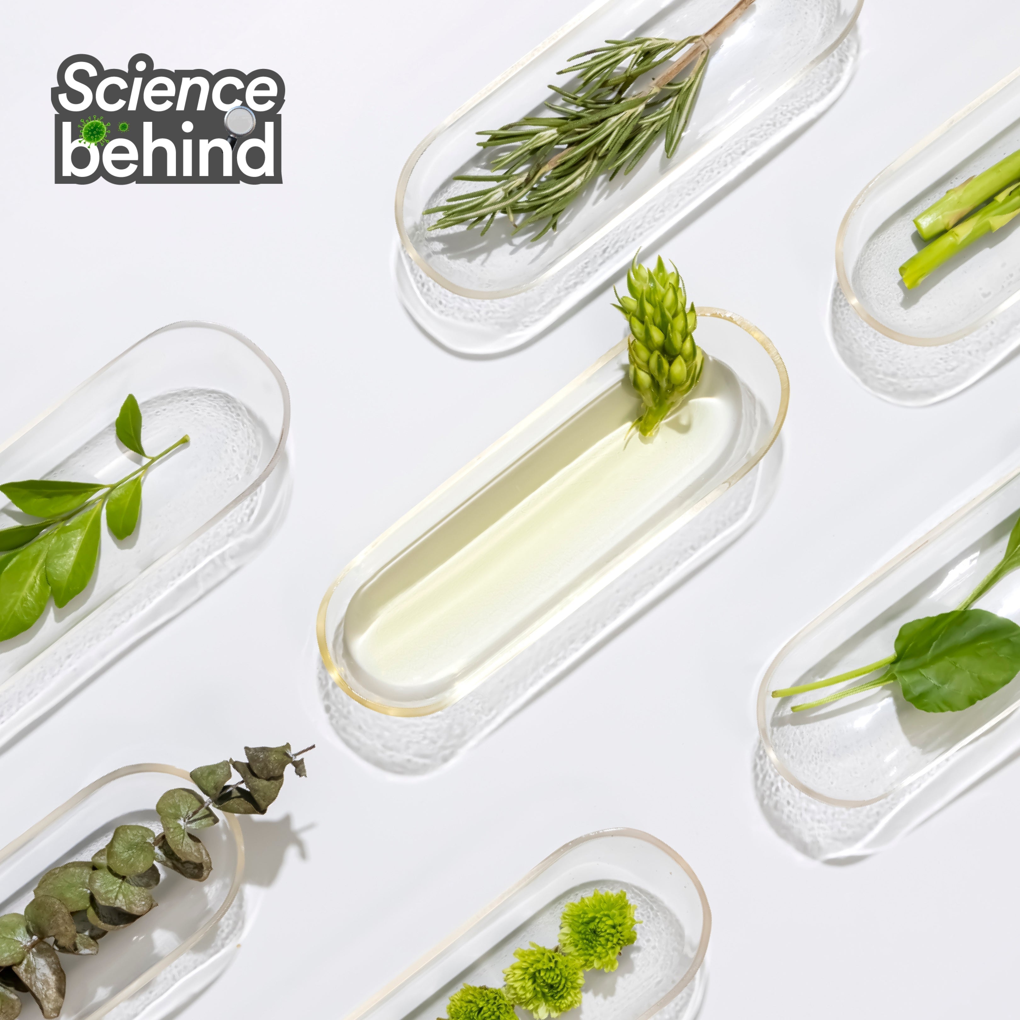 The Science behind DHA algal oil