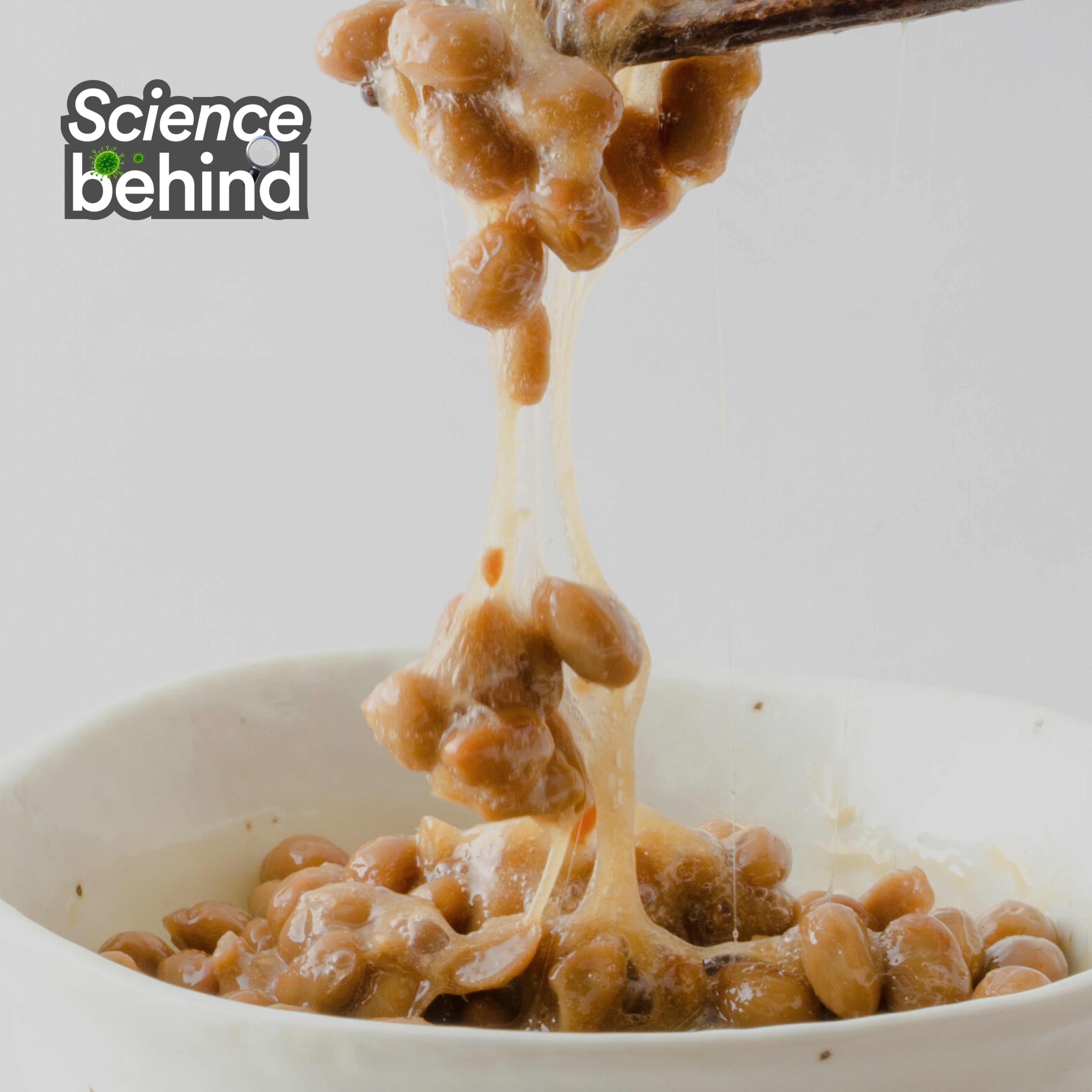 The Science behind Nattokinase