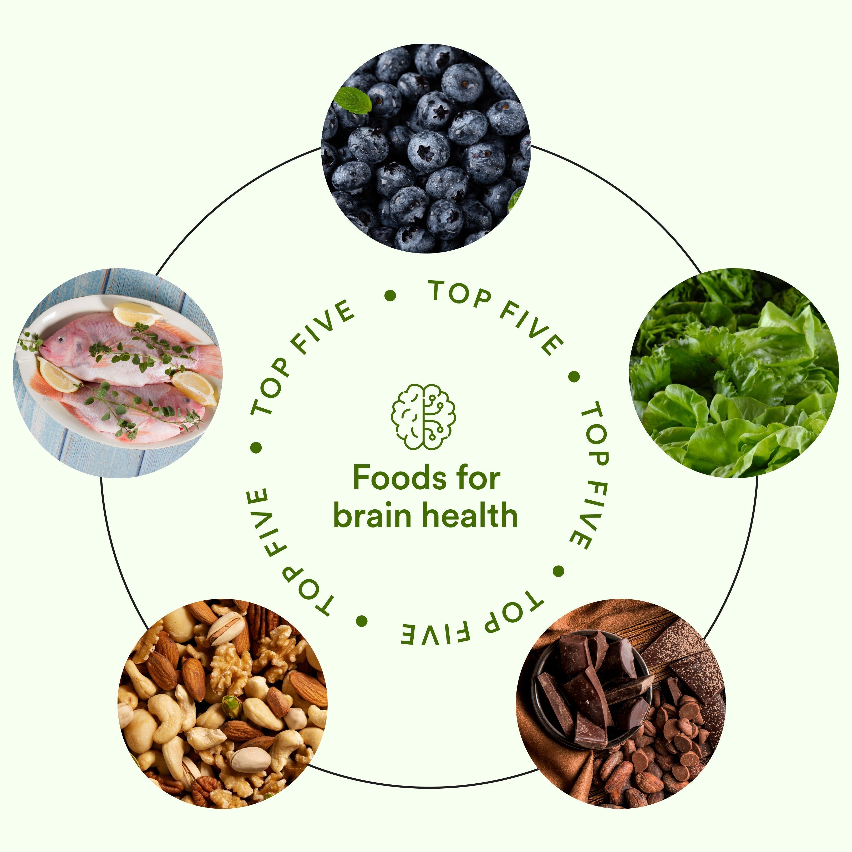 Top 5 foods for brain health to enhance memory & focus